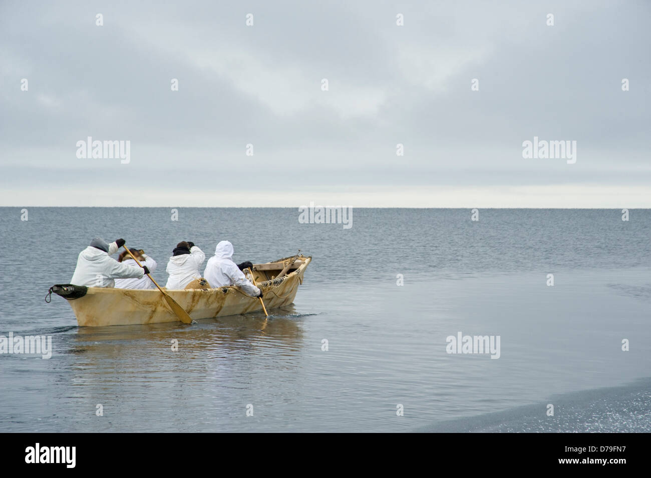 Umiak Whaler High Resolution Stock Photography and Images - Alamy