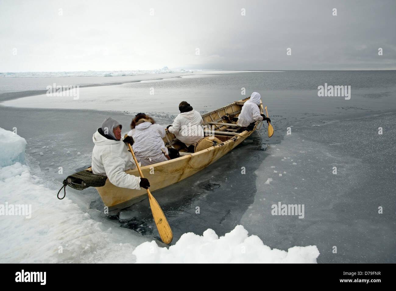 Umiak Whaler High Resolution Stock Photography and Images - Alamy