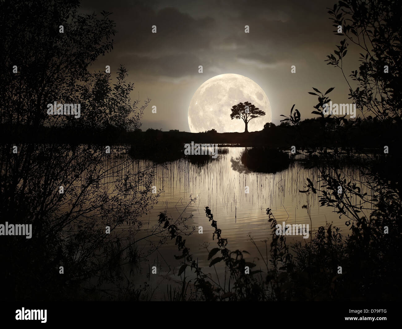 Big Moon over the wild lake Stock Photo - Alamy