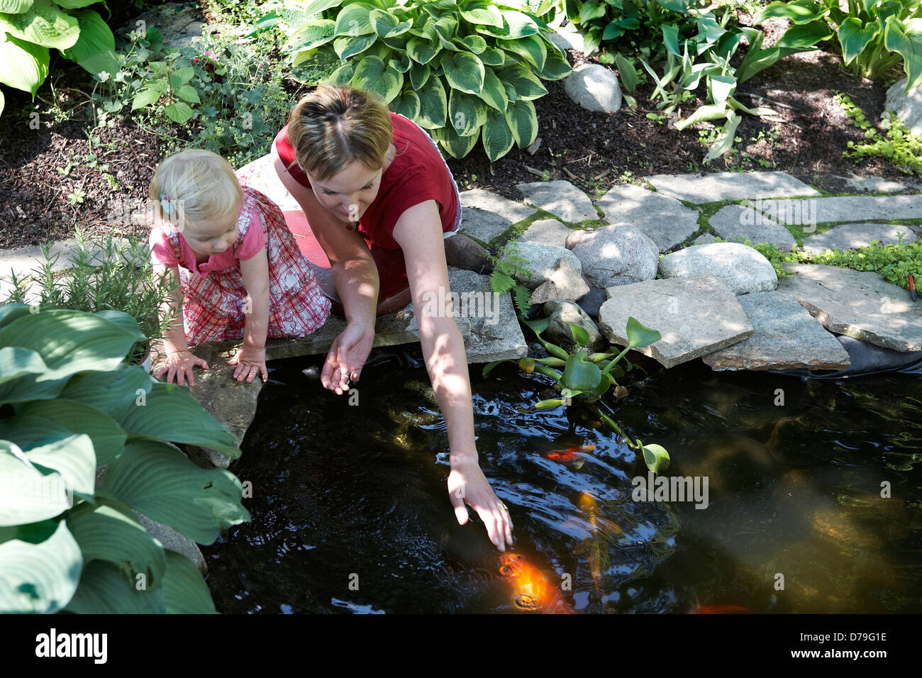 Mother and baby fish hi-res stock photography and images - Alamy