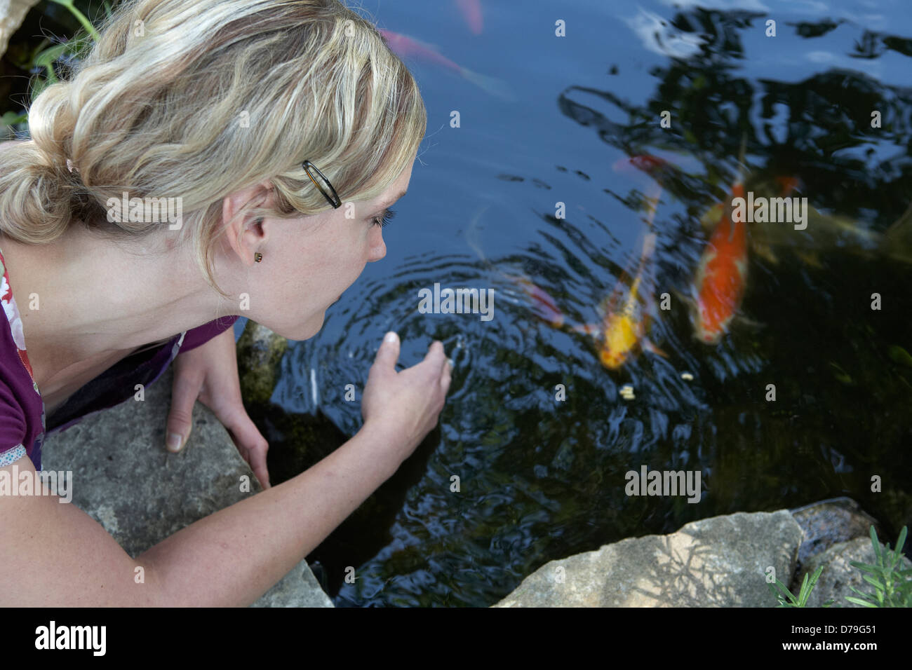 Woman feeding Koi fish Stock Photo - Alamy