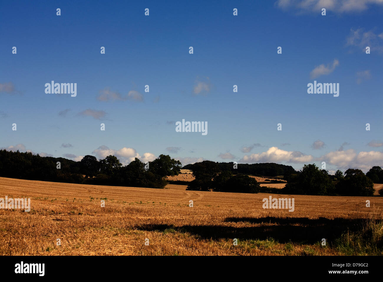 Stubble field near the River Ure flowing through the lower part of ...