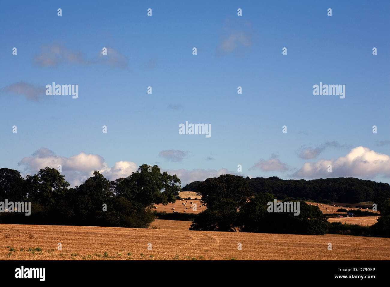 Stubble field near the River Ure flowing through the lower part of ...