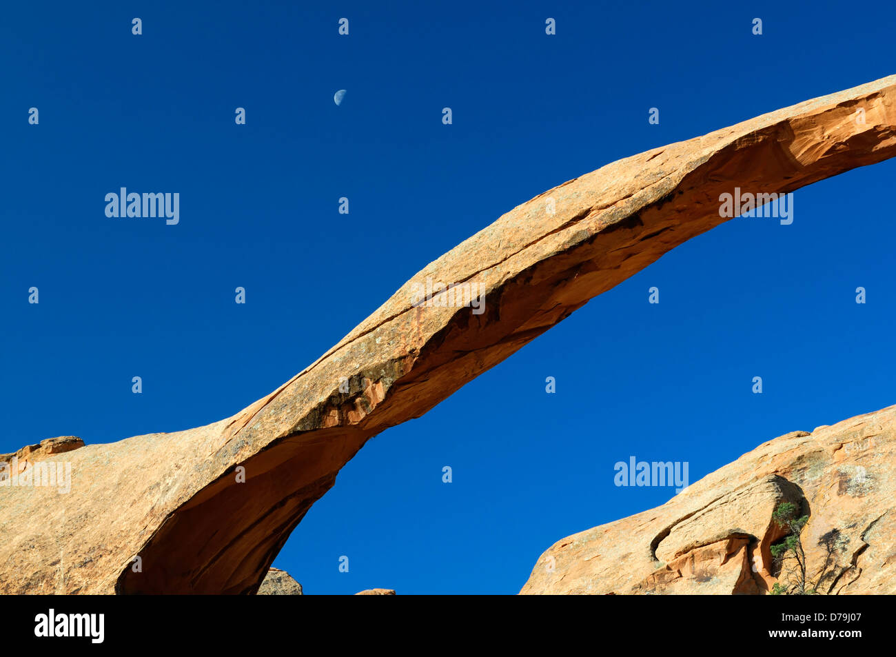 Landscape Arch Arches National Park Utah clear blue sky thin ribbon ...