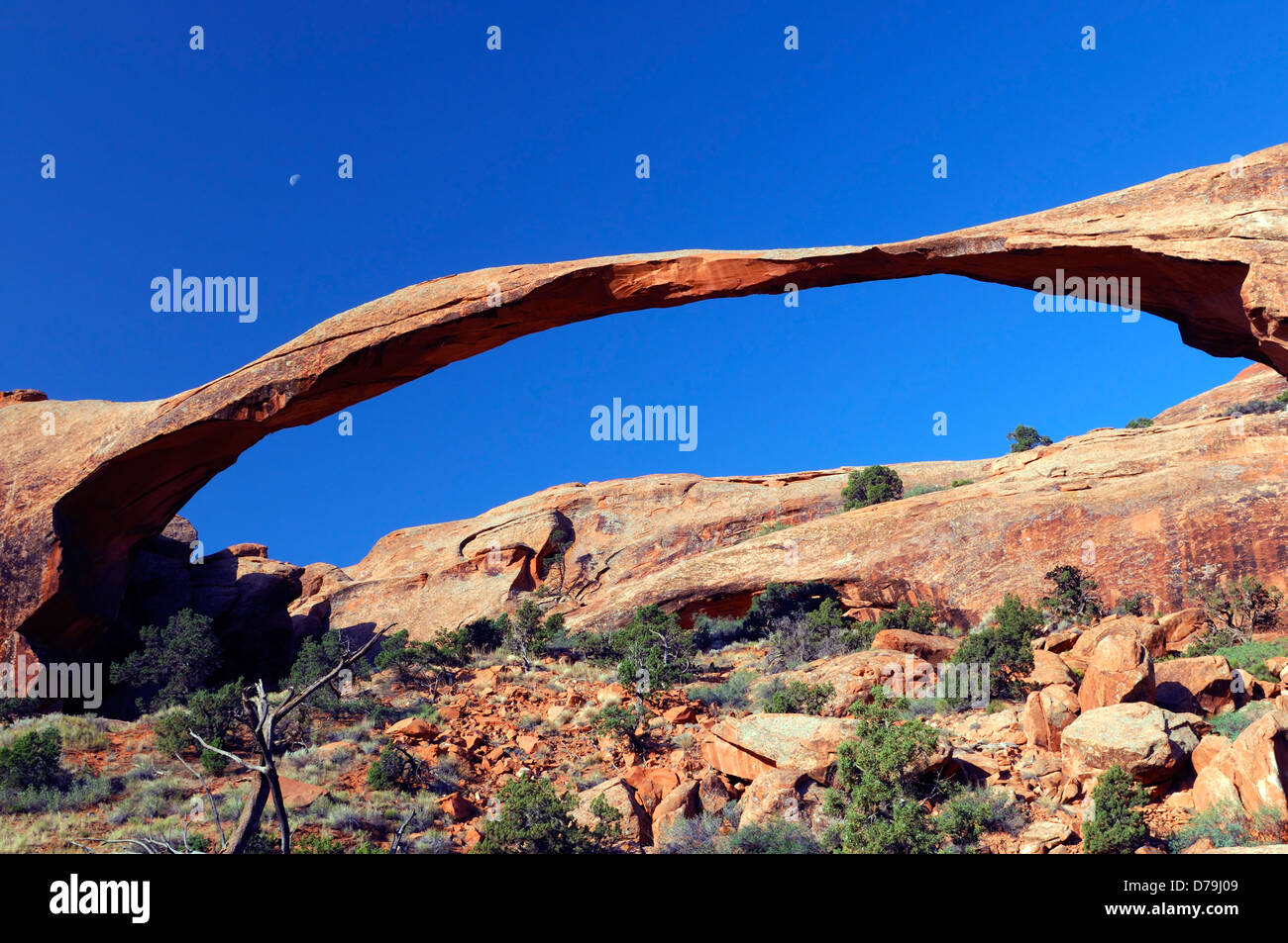 Landscape Arch Arches National Park Utah clear blue sky thin ribbon ...