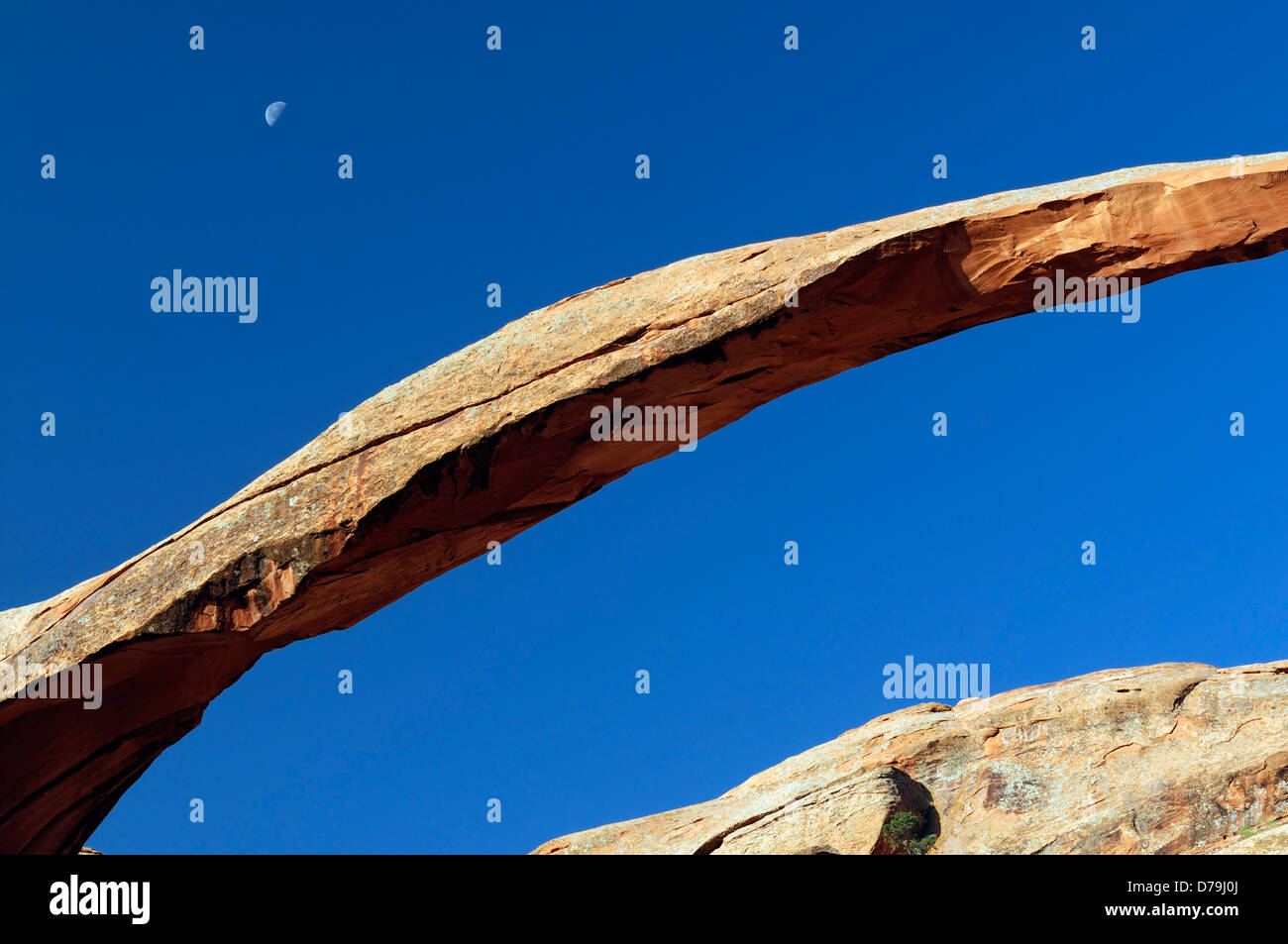 Landscape Arch Arches National Park Utah clear blue sky thin ribbon ...