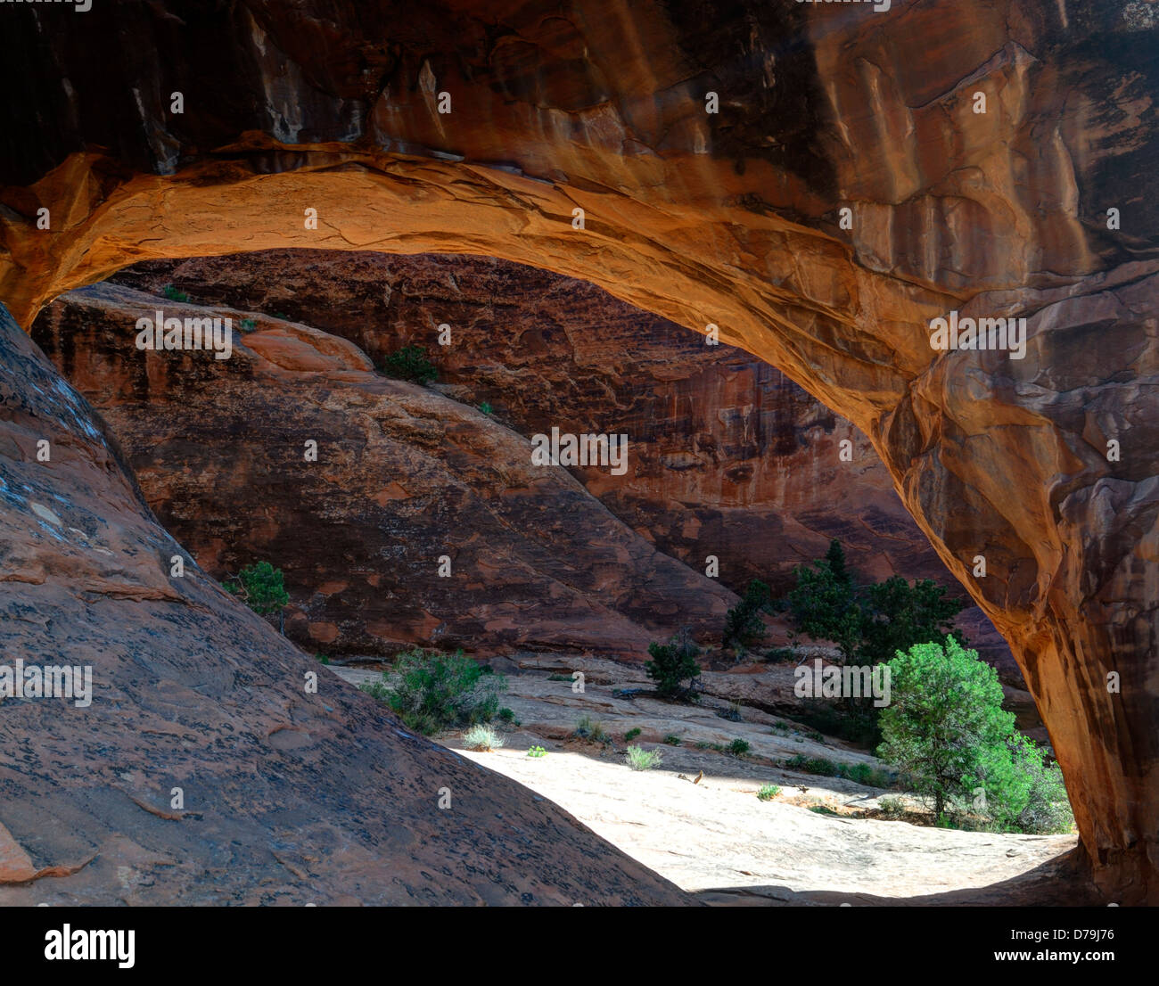 Private Arch glowing at sunrise Arches National Park Moab Utah Stock ...