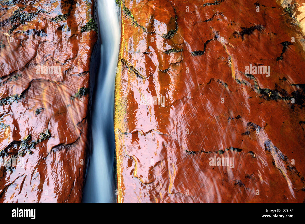 Funneled hi-res stock photography and images - Alamy