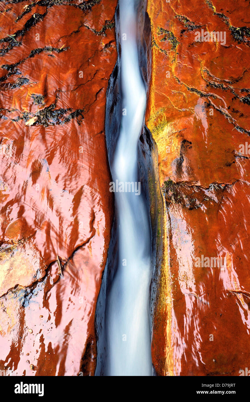 Funneled hi-res stock photography and images - Alamy