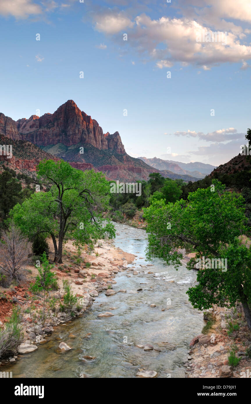 Evening light Zion Canyon The Watchman south entrance Zion National ...