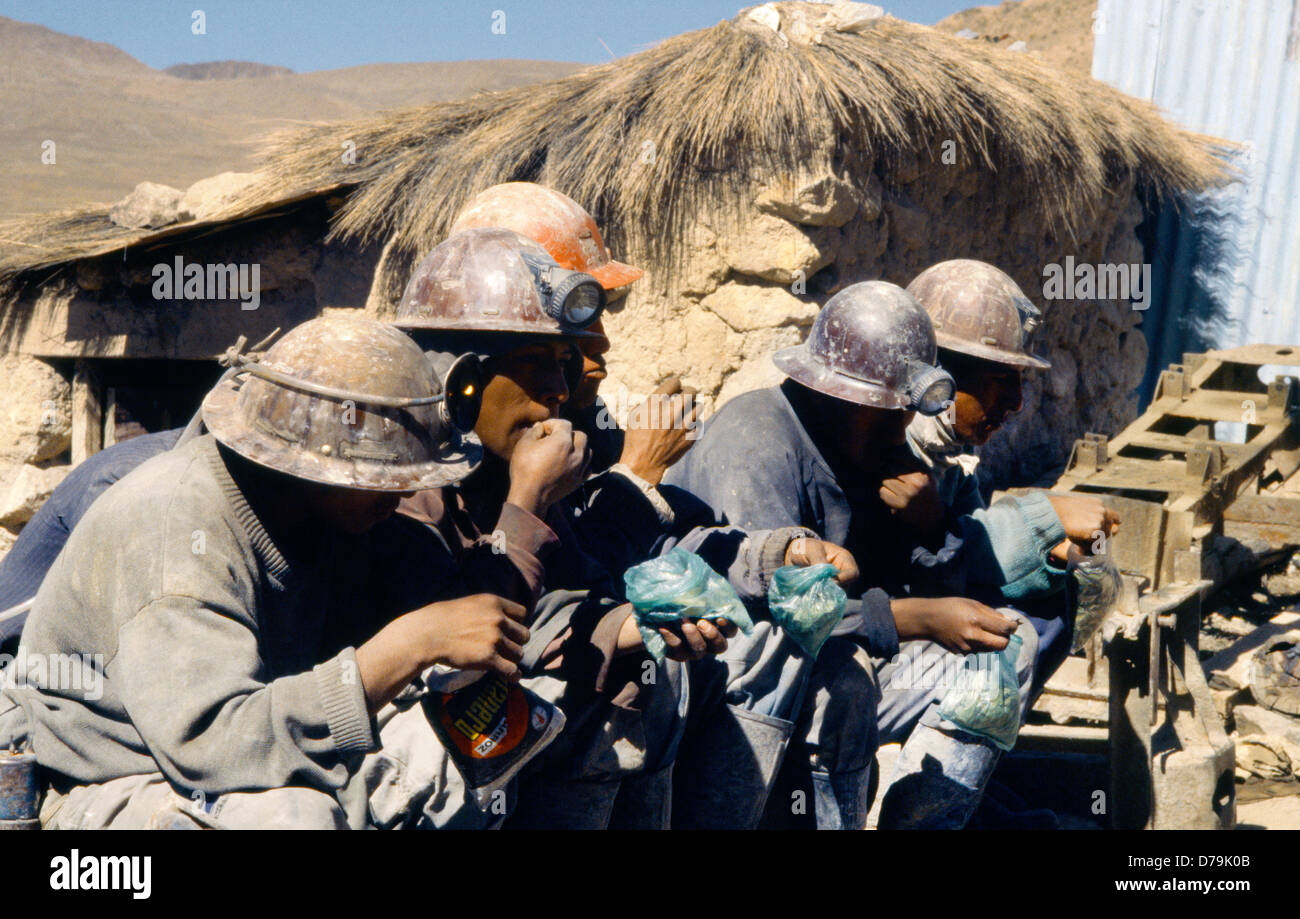 Coca Leaves Chewing High Resolution Stock Photography and Images - Alamy