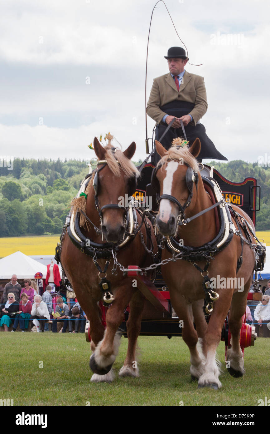 Heavy horse pulling cart hi-res stock photography and images - Alamy