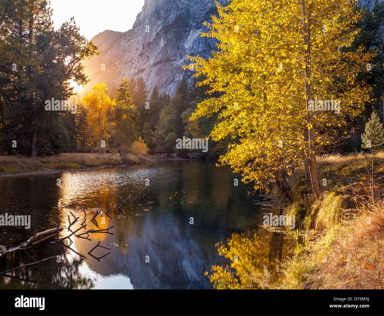 Illuminating habitat hi-res stock photography and images - Alamy