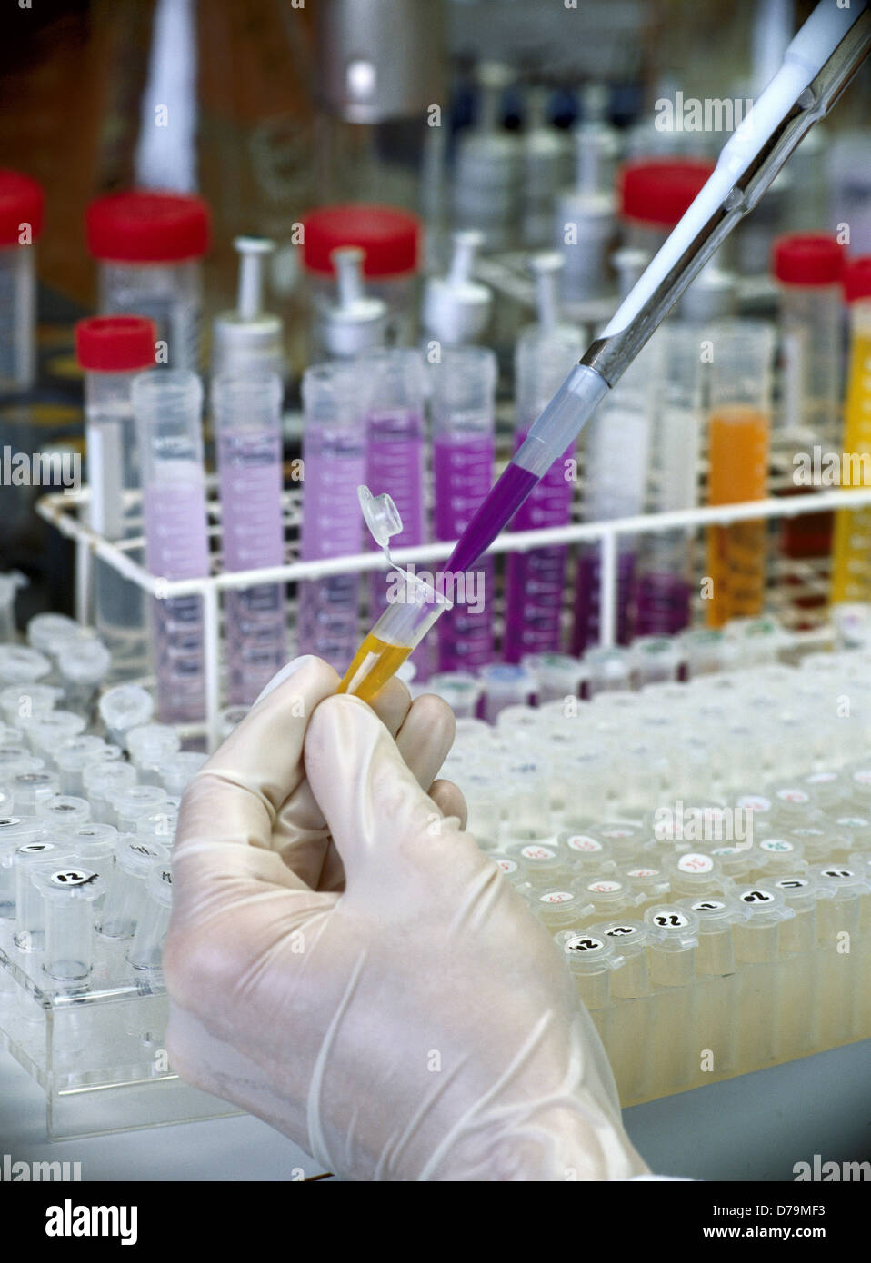 Tip pipette adding drops solution to sample container Stock Photo - Alamy