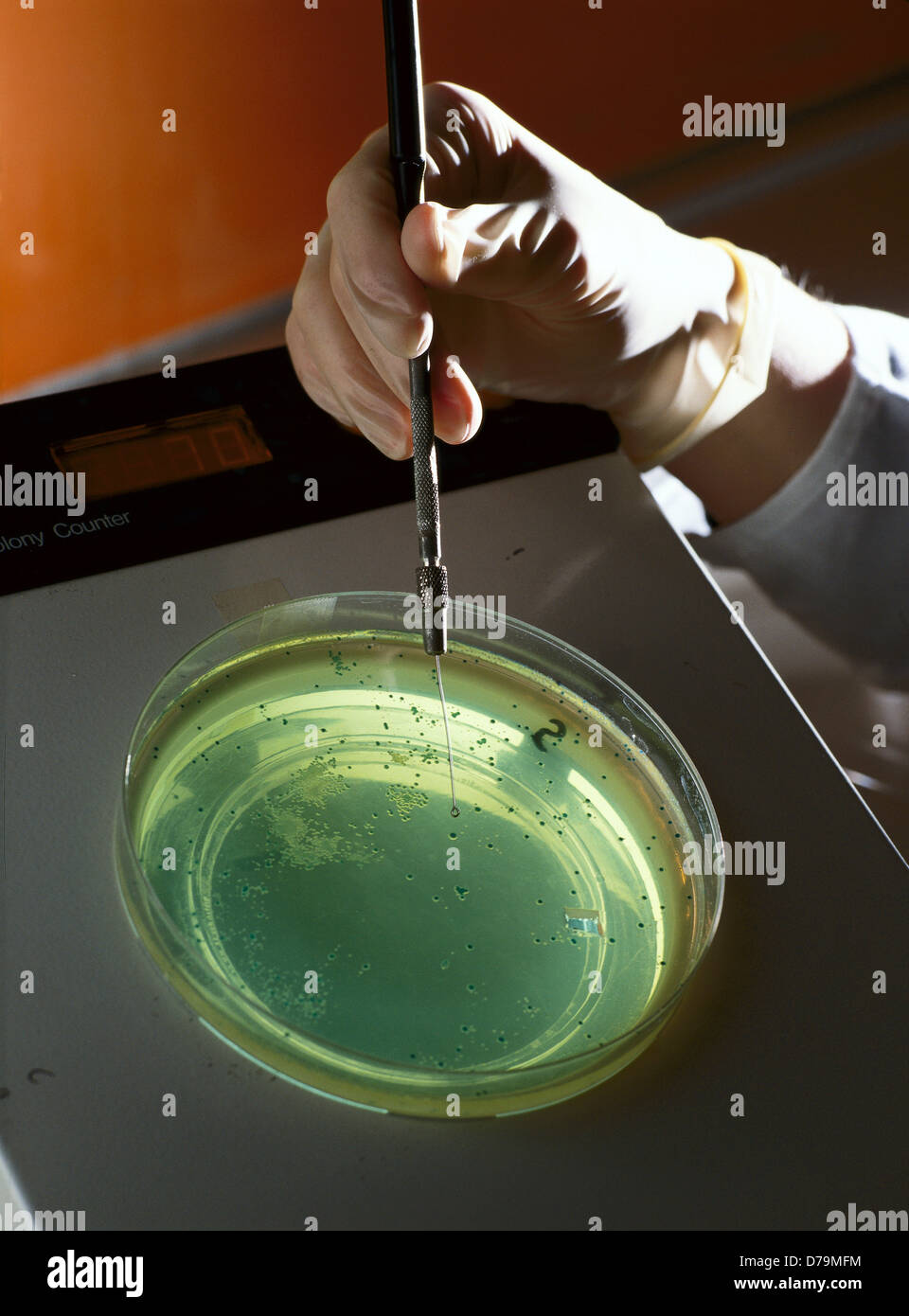 Biotechnology isolation new clone Stock Photo - Alamy