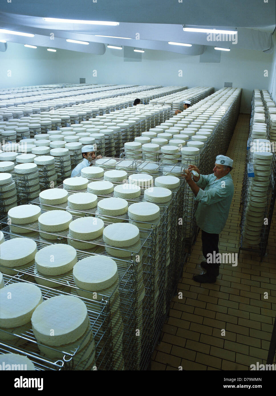 Cheese matured in fully air-conditioned maturing rooms several weeks ...