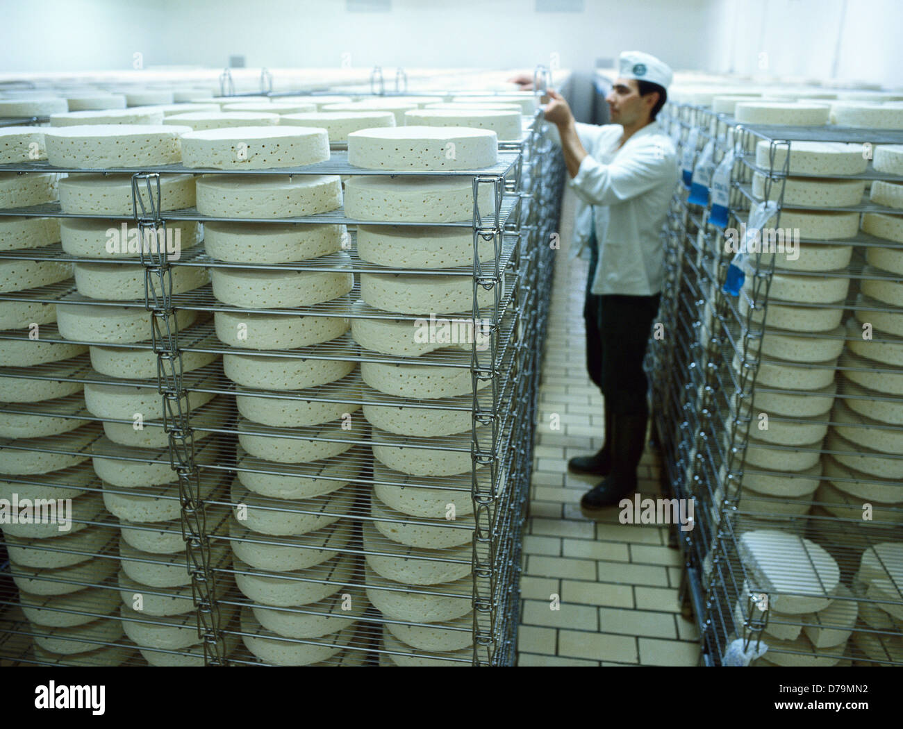 Cheese matured in fully air-conditioned maturing rooms several weeks ...