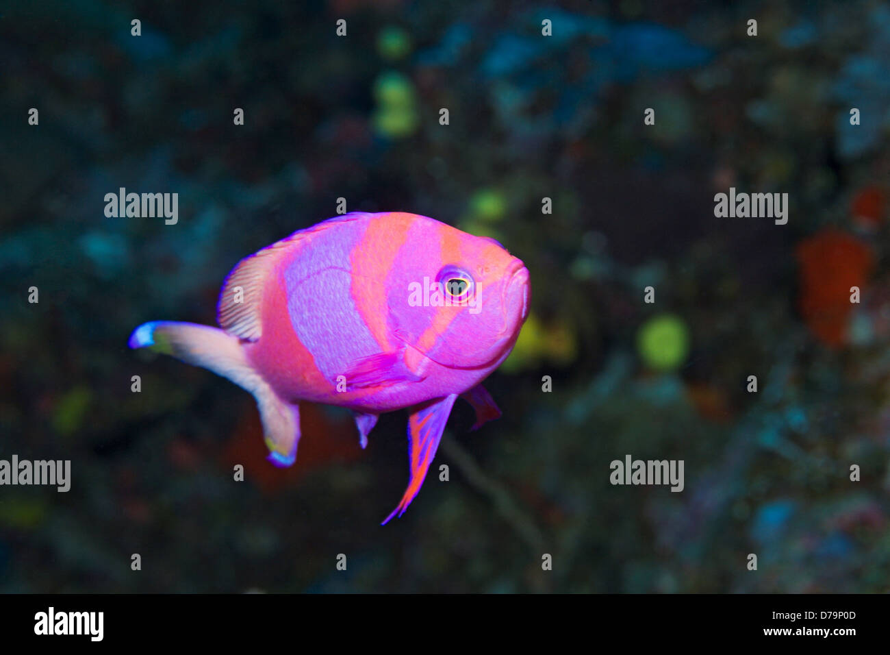 Squarespot hi-res stock photography and images - Alamy