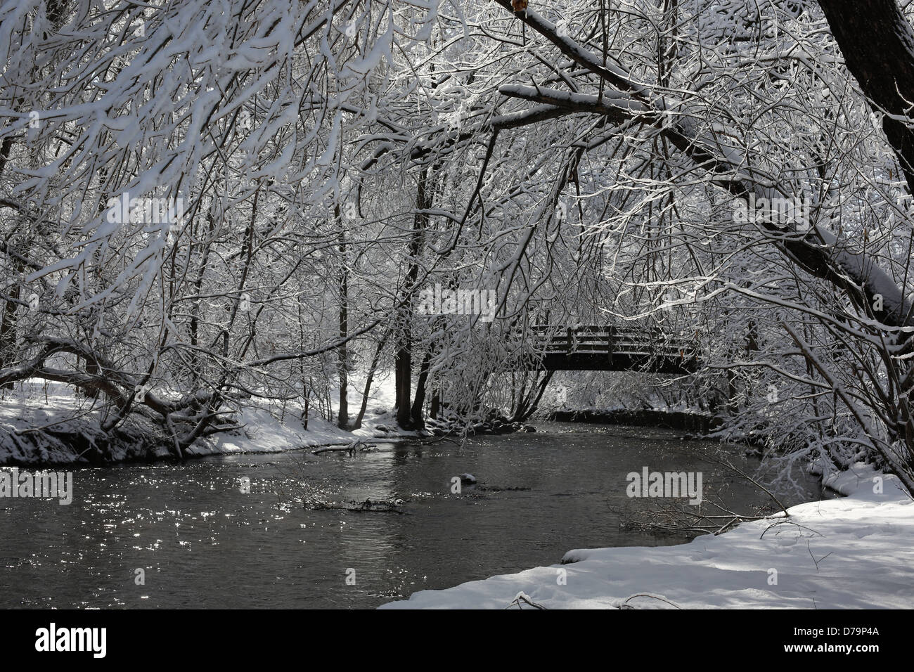 Footbridge in a park hi-res stock photography and images - Alamy
