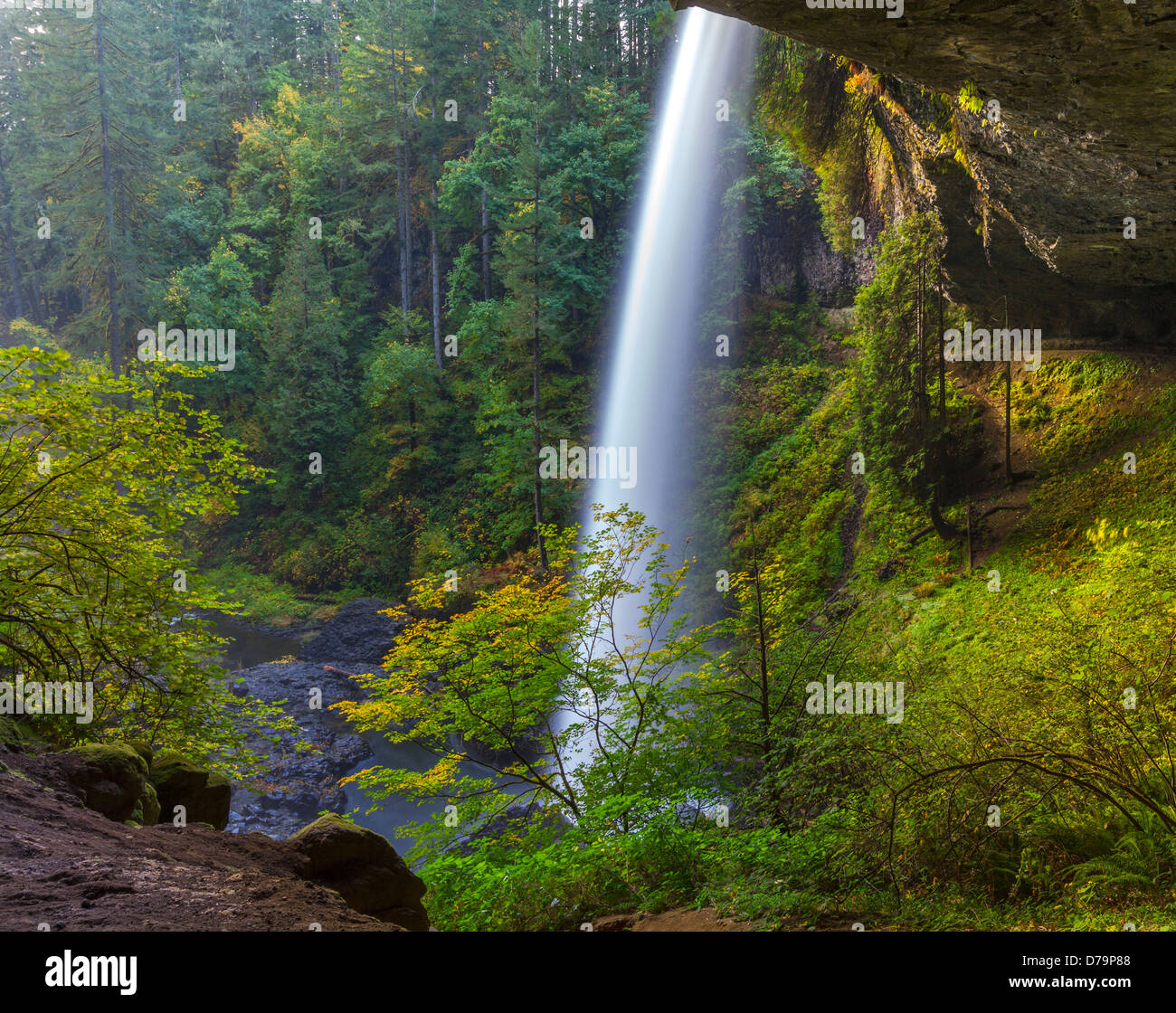 North falls in silver falls state park hi-res stock photography and ...