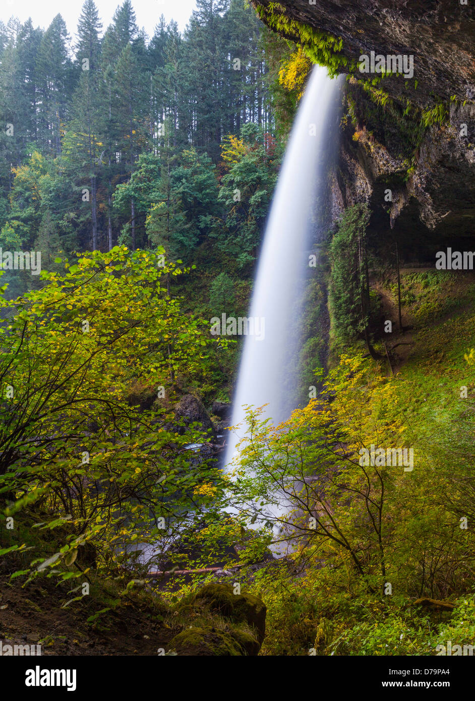 Silver fall waterfall hi-res stock photography and images - Alamy