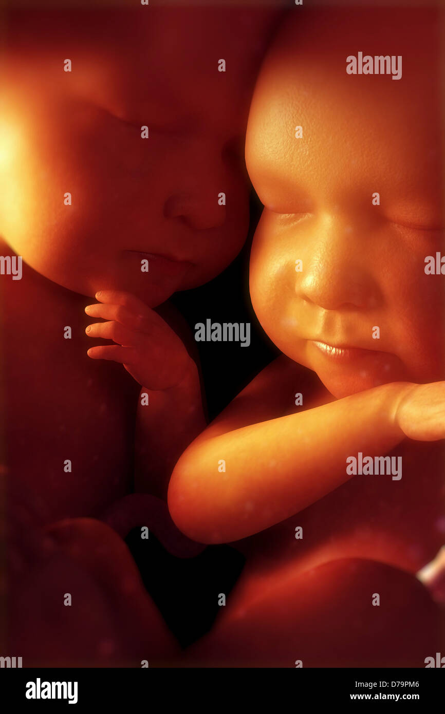 Human twin babies babies hi-res stock photography and images - Alamy