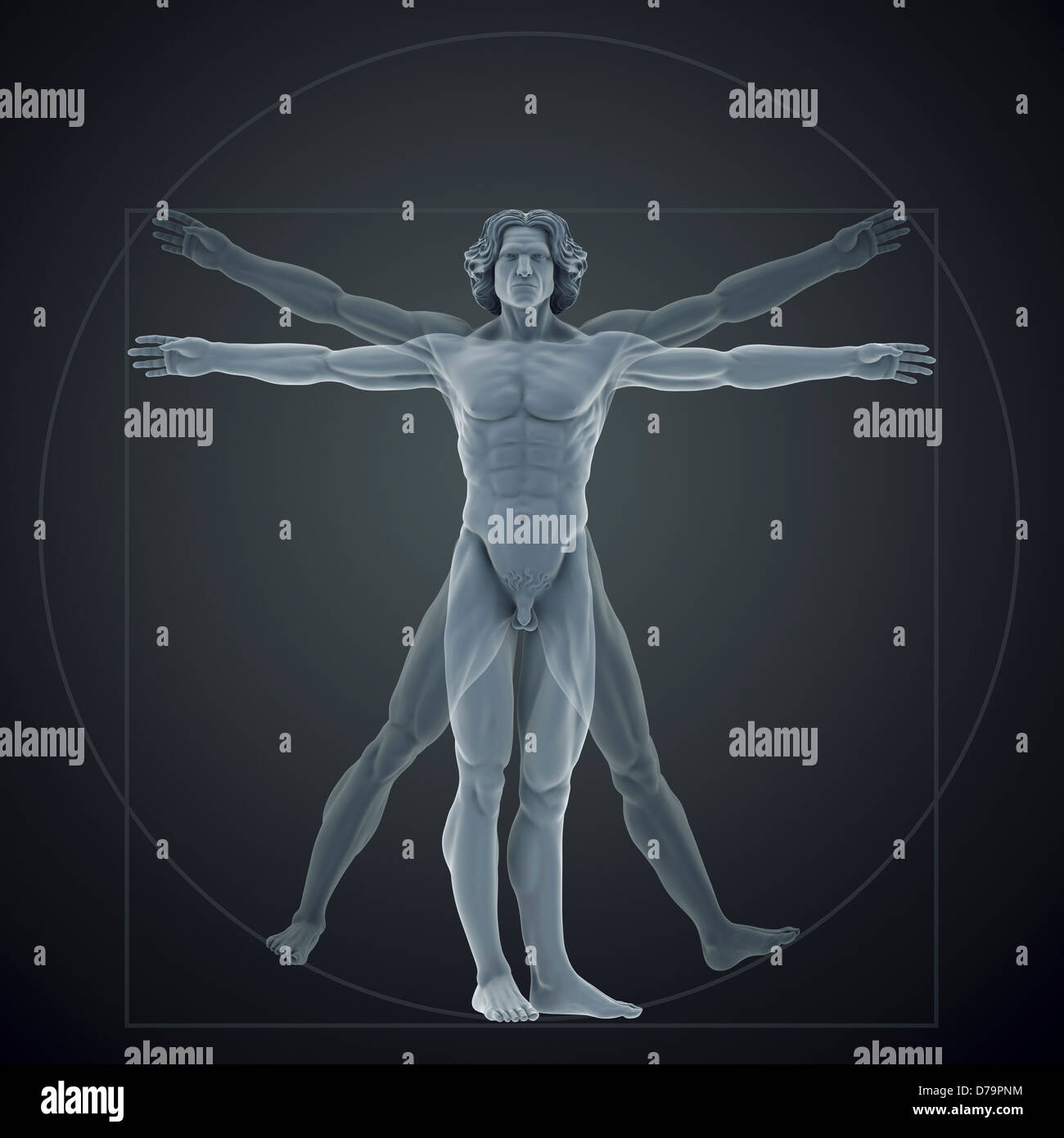 Vitruvian hi-res stock photography and images - Alamy