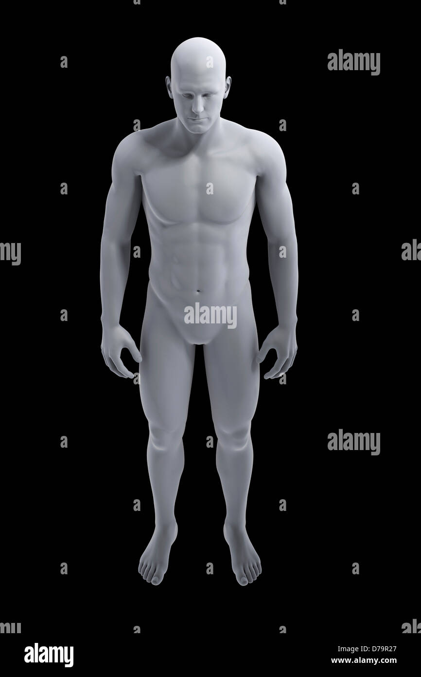 Illustration male anatomy full length hi-res stock photography and ...