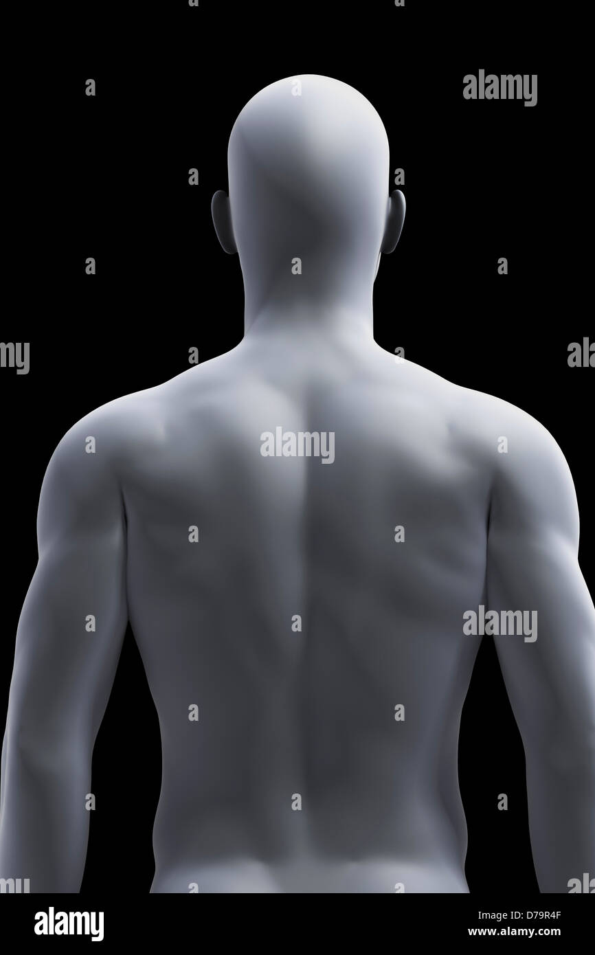 Human integumentary system hi-res stock photography and images - Alamy