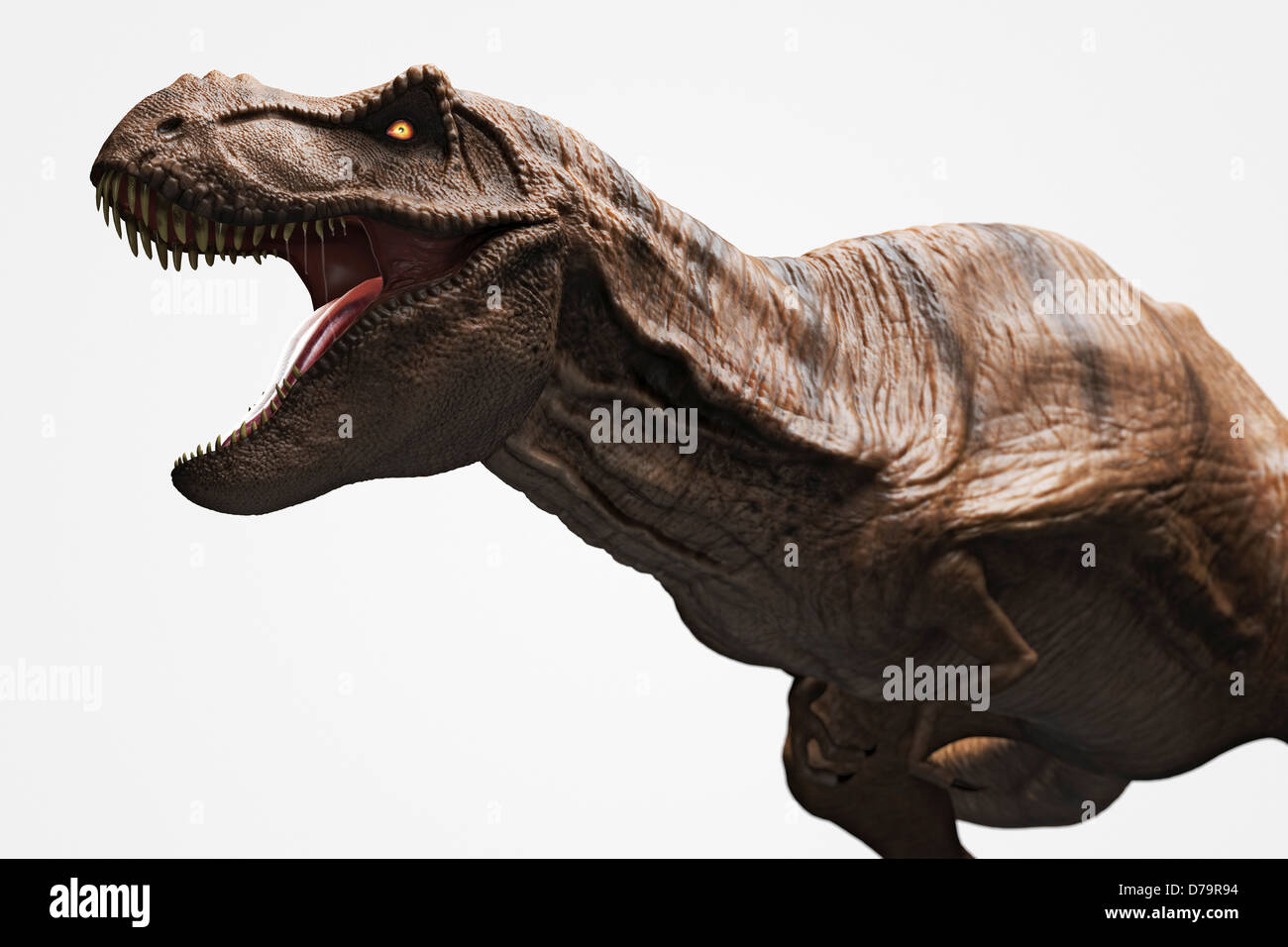 Side view tyrannosaurus rex dinosaur hi-res stock photography and ...
