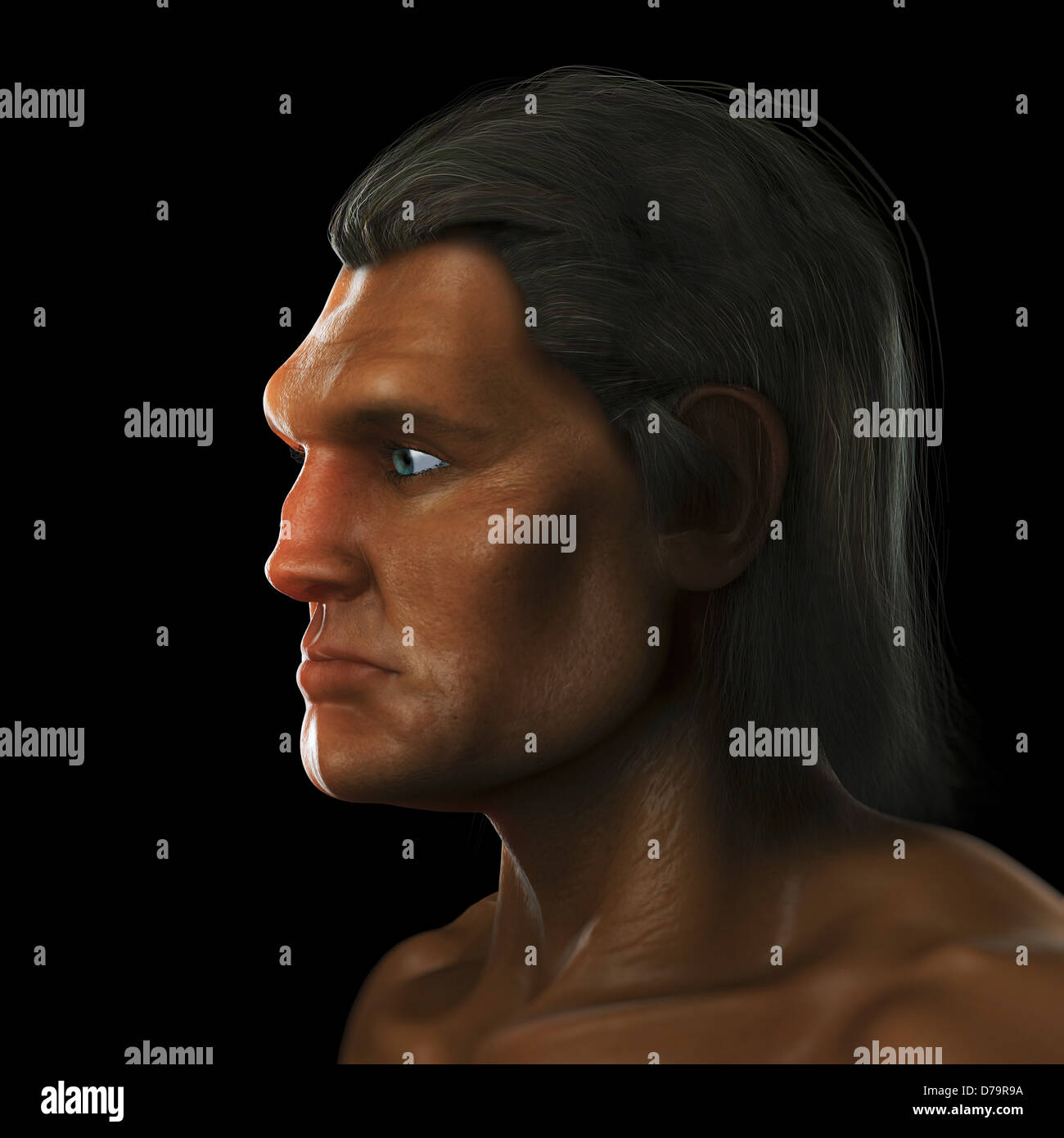 Homo sapiens evolution hi-res stock photography and images - Alamy