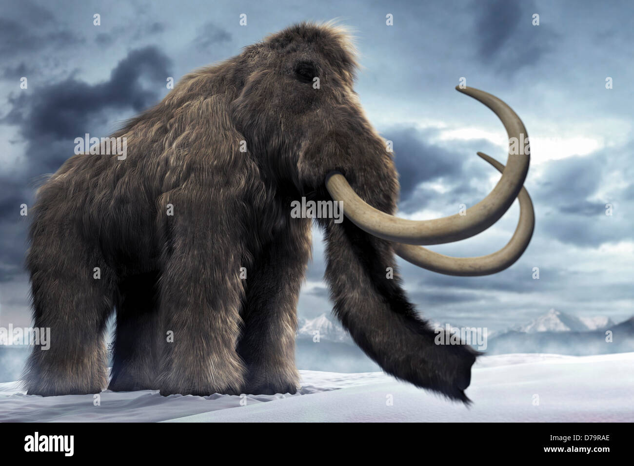 Ice age wooly mammoth illustration hi-res stock photography and images ...