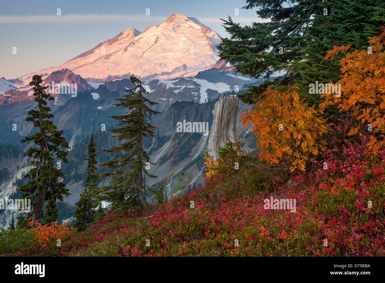 Mount Baker-Snoqualmie National Forest, WA: Mount Baker from Artists ...