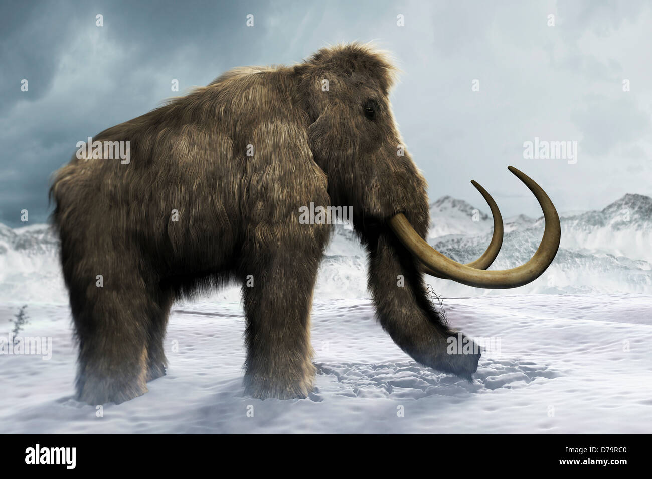 Ice age wooly mammoth illustration hi-res stock photography and images ...