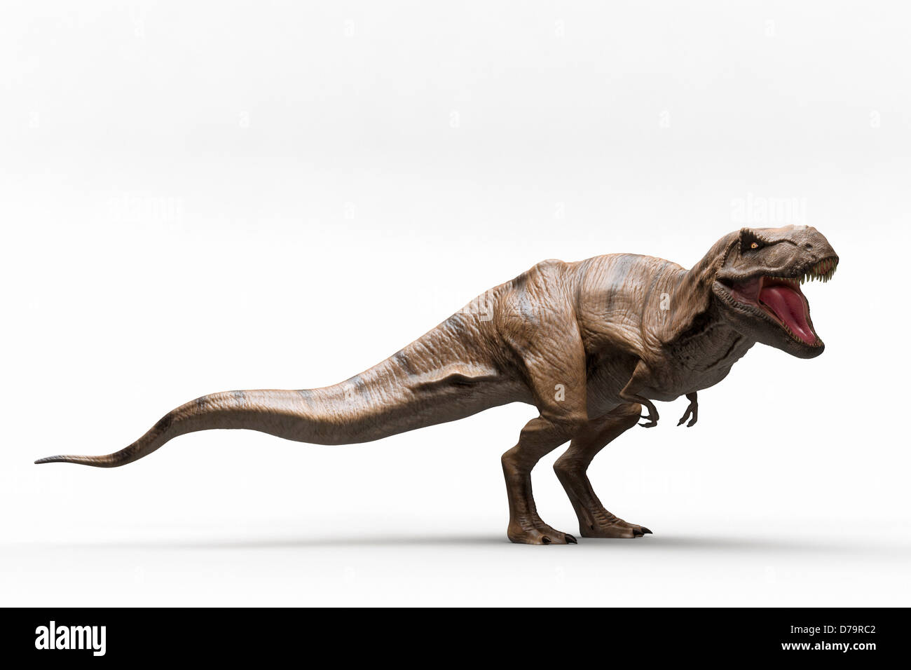 Side view tyrannosaurus rex dinosaur Cut Out Stock Images & Pictures ...