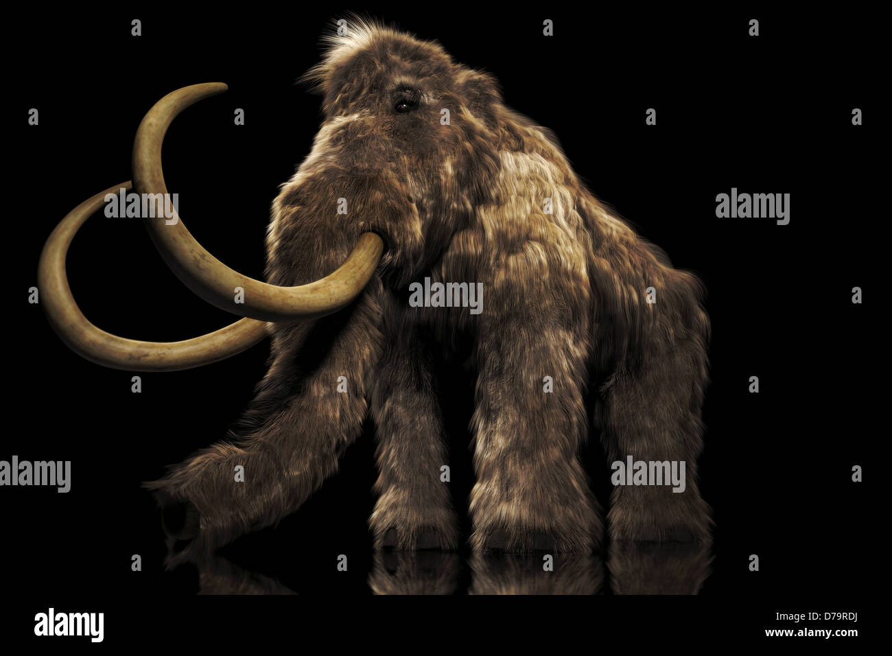 Mammoth High Resolution Stock Photography and Images - Alamy