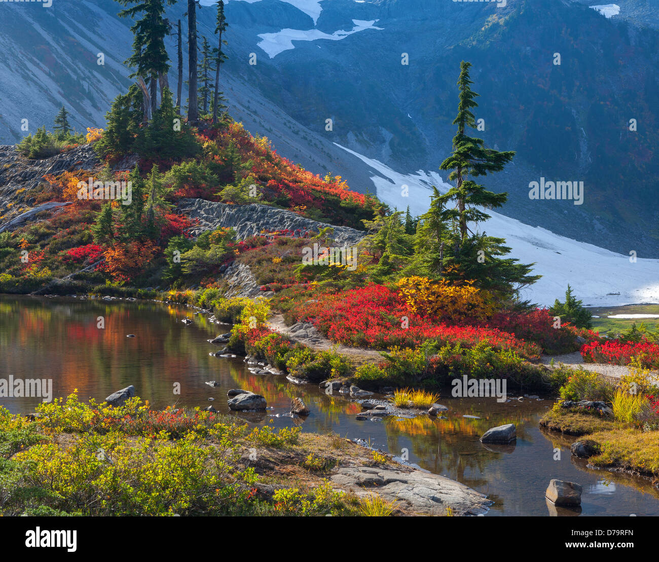 Mount Baker-Snoqualmie National Forest, Washington Fall colors around ...