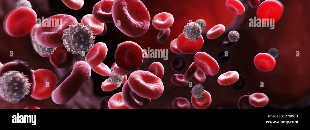 Large blood cells hi-res stock photography and images - Alamy