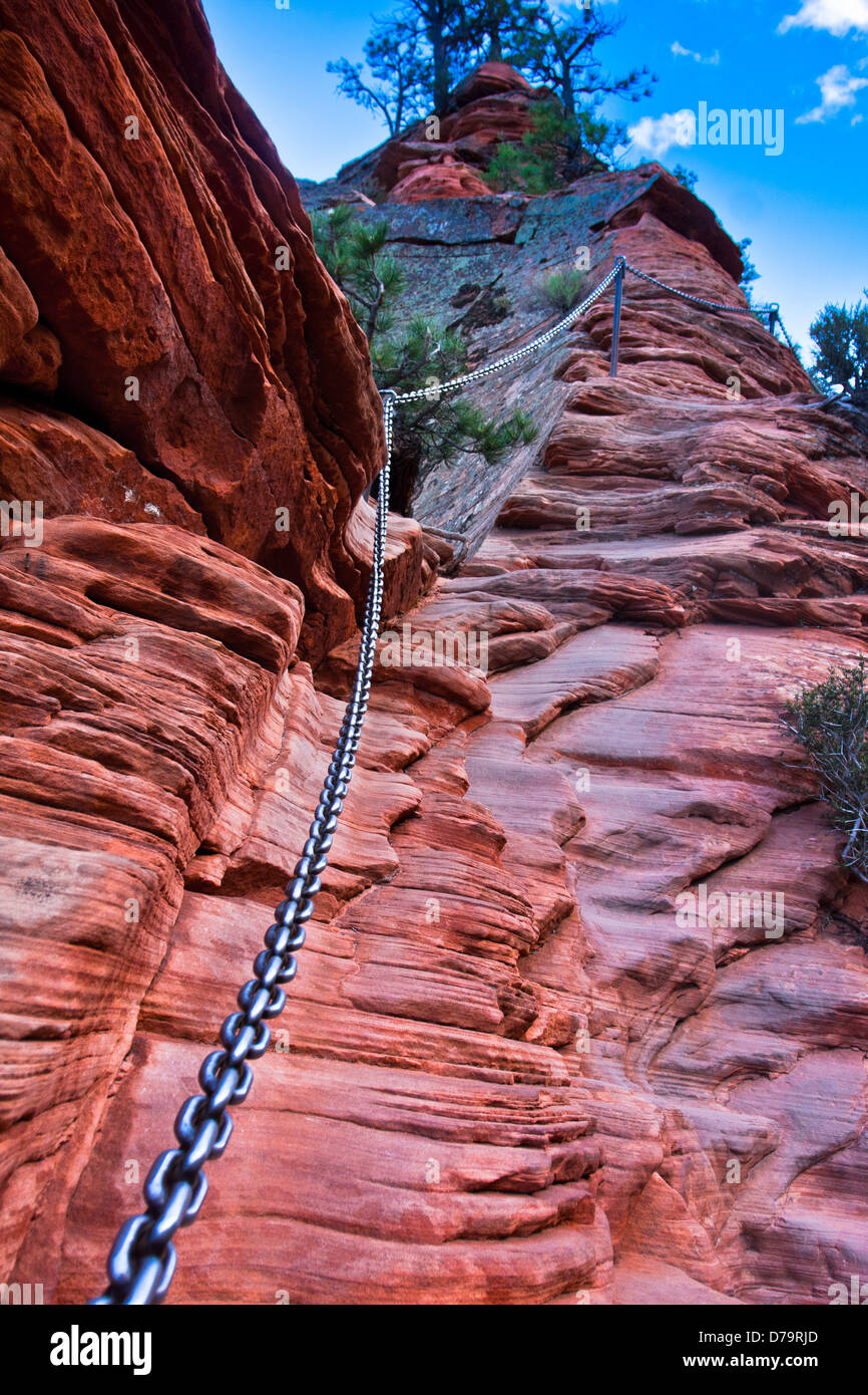 Angel Landing Trail in Zion National Park,Utah,USA Stock Photo - Alamy
