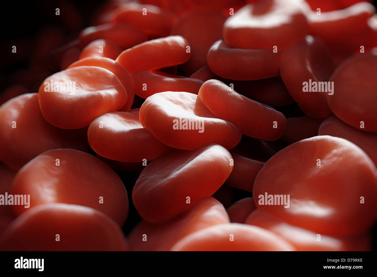 Blood corpuscles cells hi-res stock photography and images - Alamy