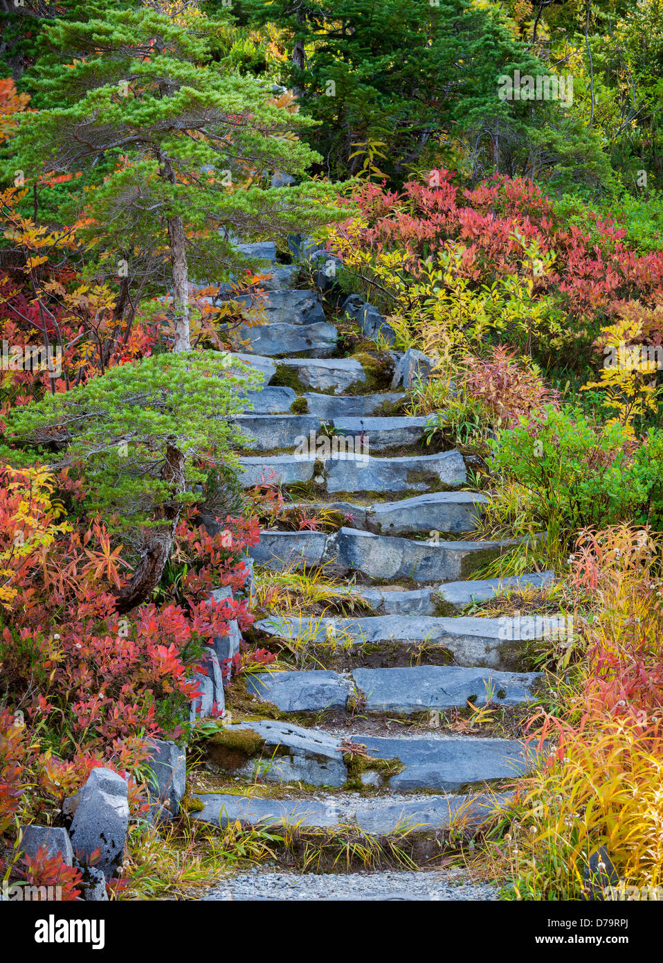 Mount Baker-Snoqualmie National Forest, Washington Fall colors and ...