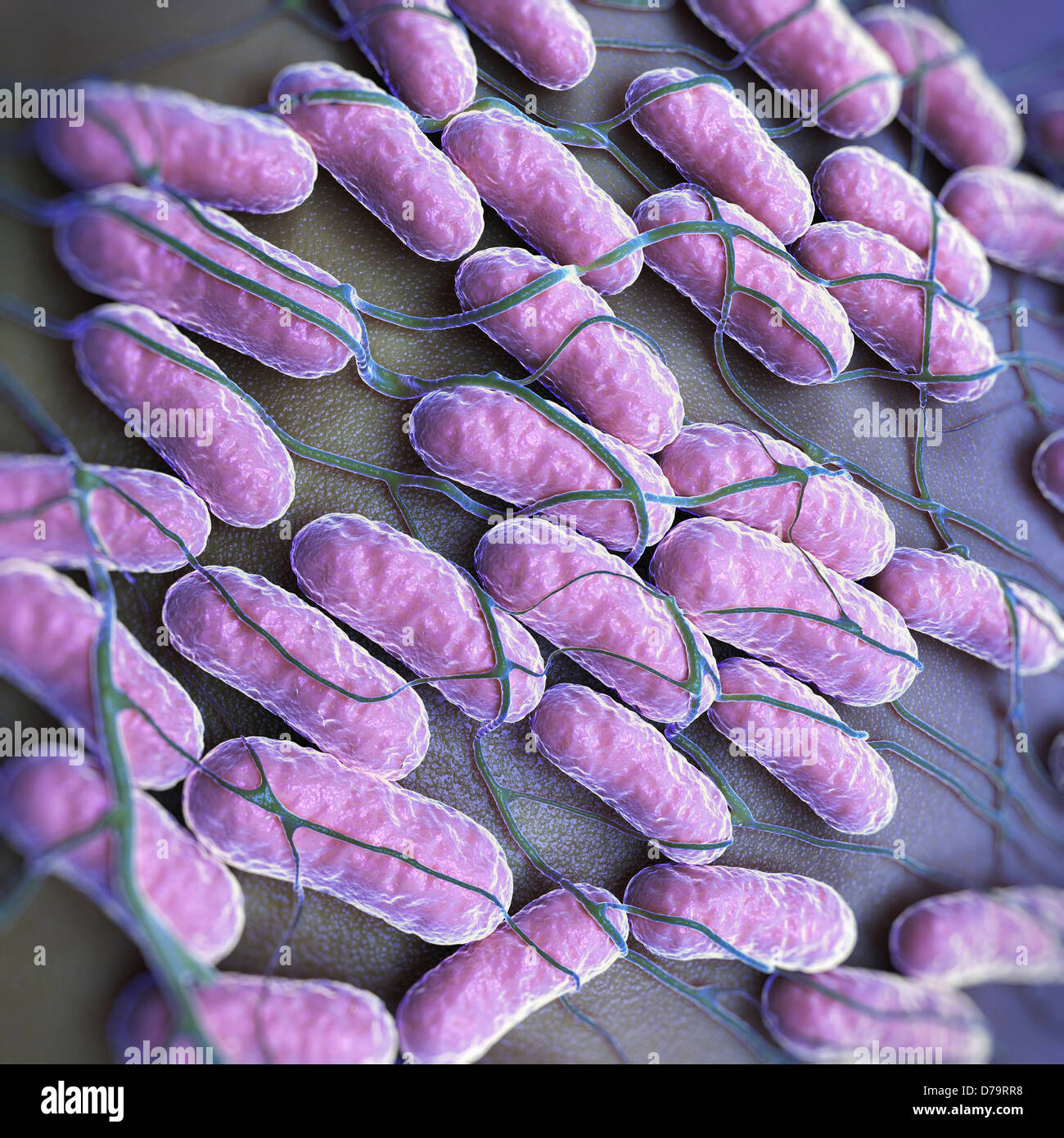 Pathogenic Bacteria Stock Photos & Pathogenic Bacteria Stock Images - Alamy