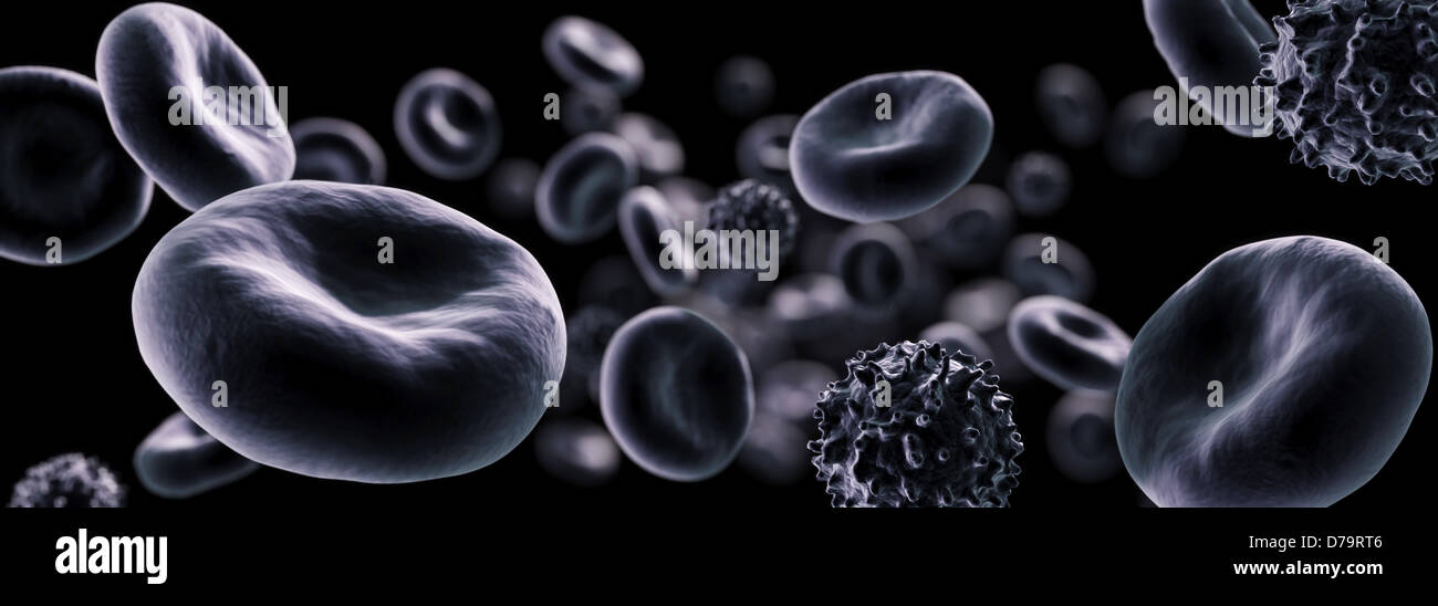 Large blood cells hi-res stock photography and images - Alamy