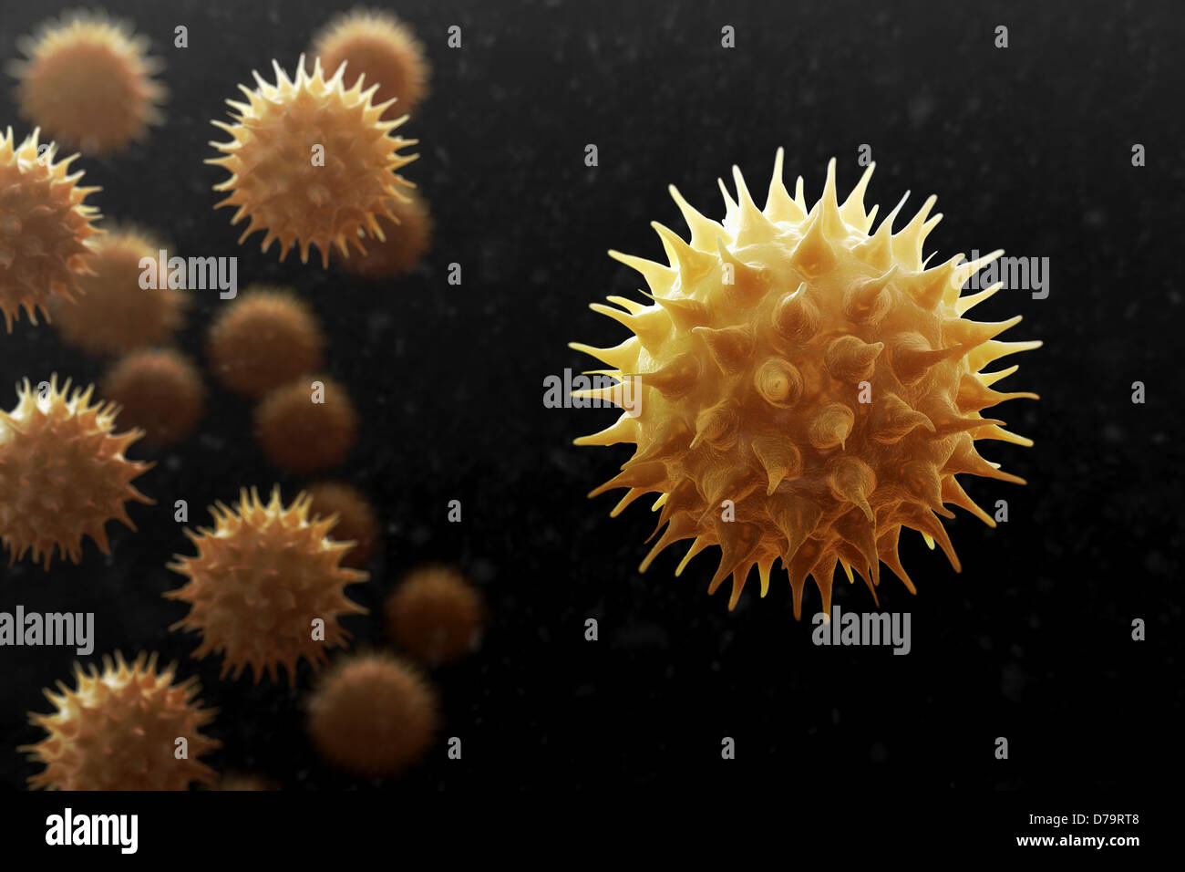 Pollenosis hi-res stock photography and images - Alamy