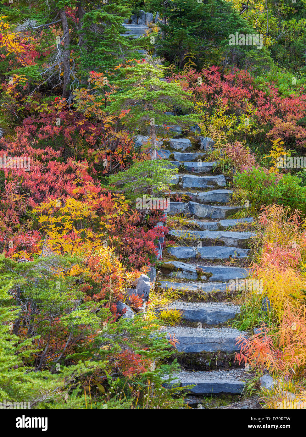 Mount Baker-Snoqualmie National Forest, Washington Fall colors and ...