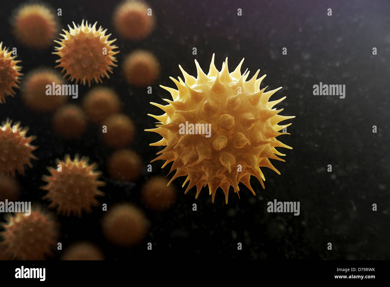 Sunflower pollen microscopic hi-res stock photography and images - Alamy