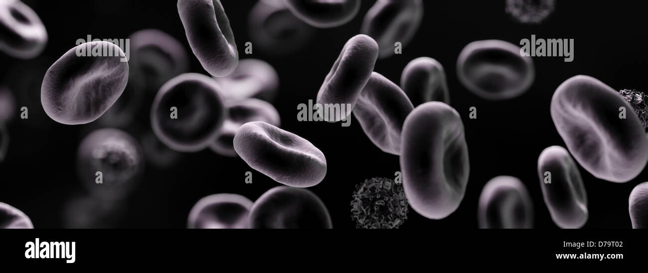 Large blood cells hi-res stock photography and images - Alamy