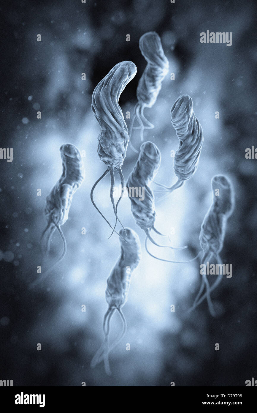 H Pylori Stock Photos & H Pylori Stock Images - Alamy