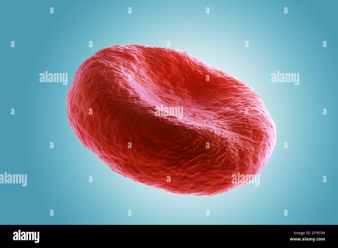 Red Blood Cell Stock Photo - Alamy