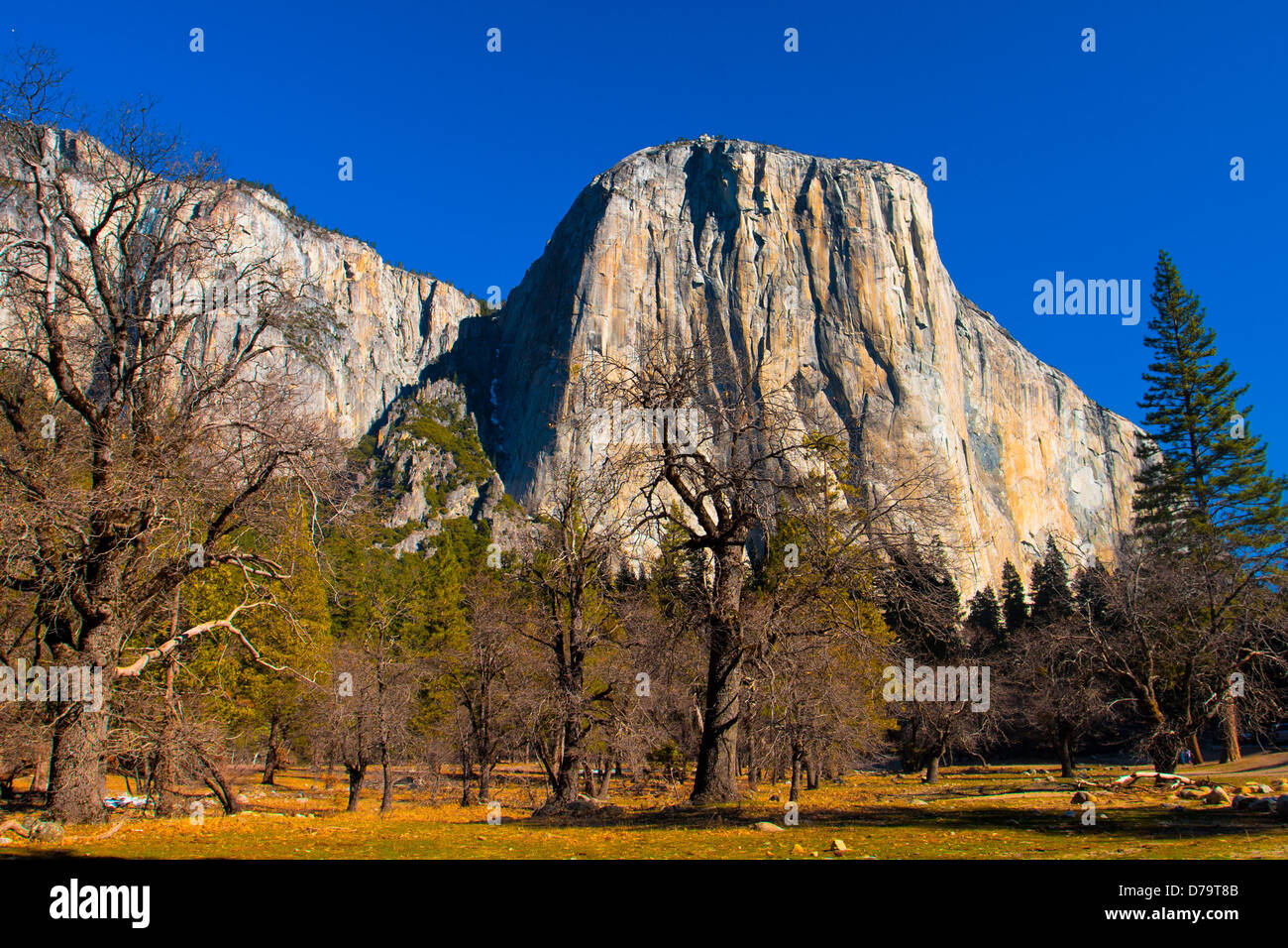 Captain rock hi-res stock photography and images - Alamy